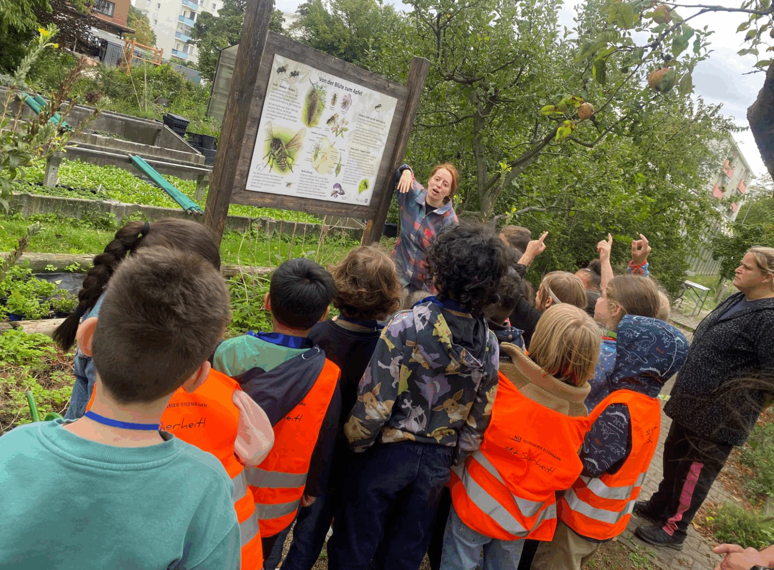 🍎Rund um den Apfel – Die 1/2/3a, 1/2c, 1/2/3f und 1/2/3g entdecken ...